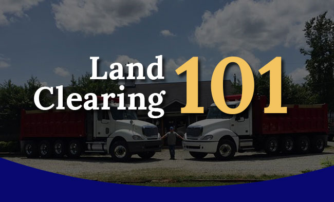 Land Clearing 101 [infographic] | Tucker Land Development